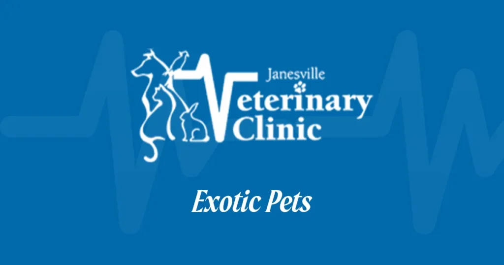 Exotic Pets - Janesville Vet Clinic